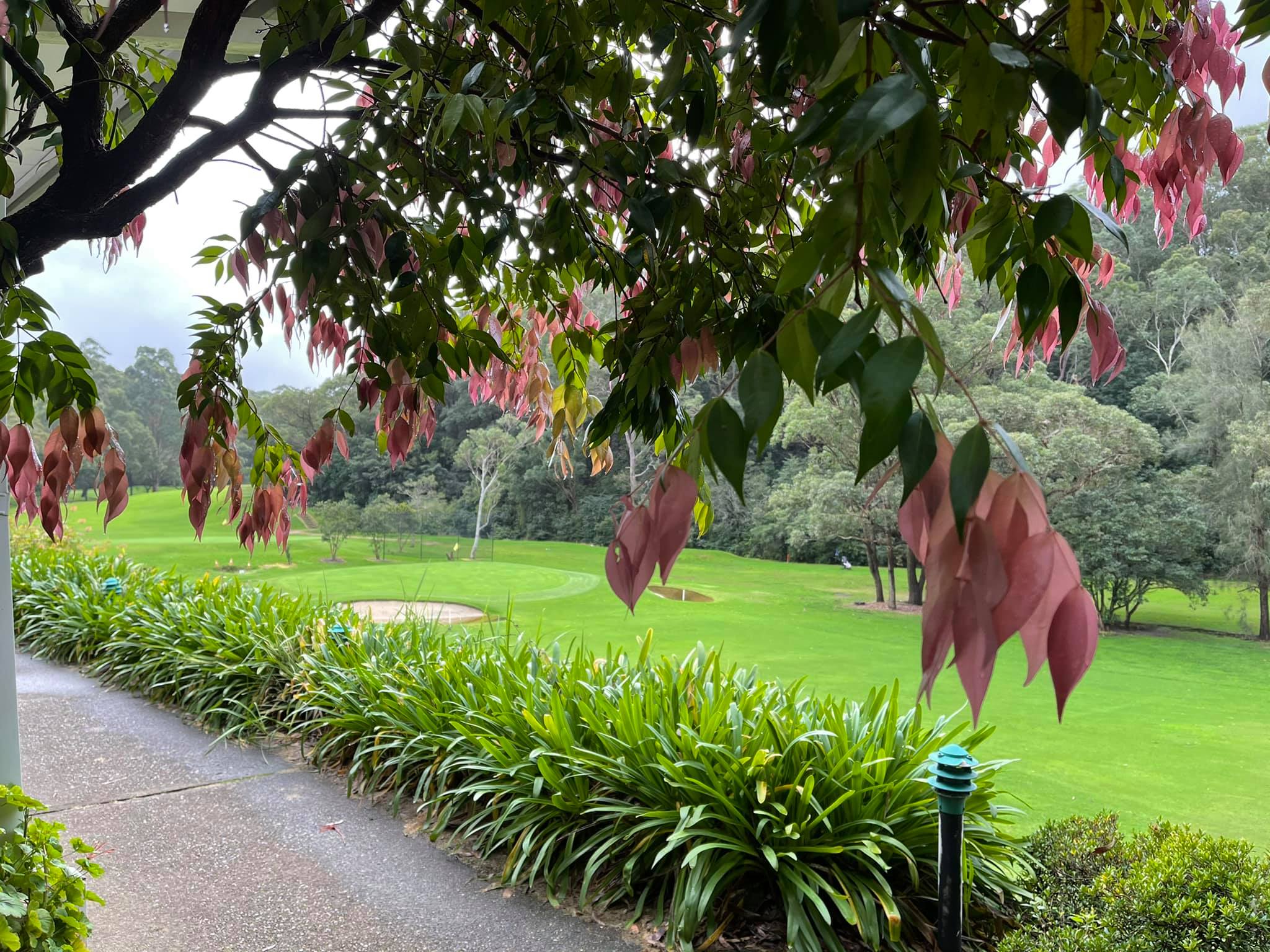 Home Archives - Lane Cove Golf Club